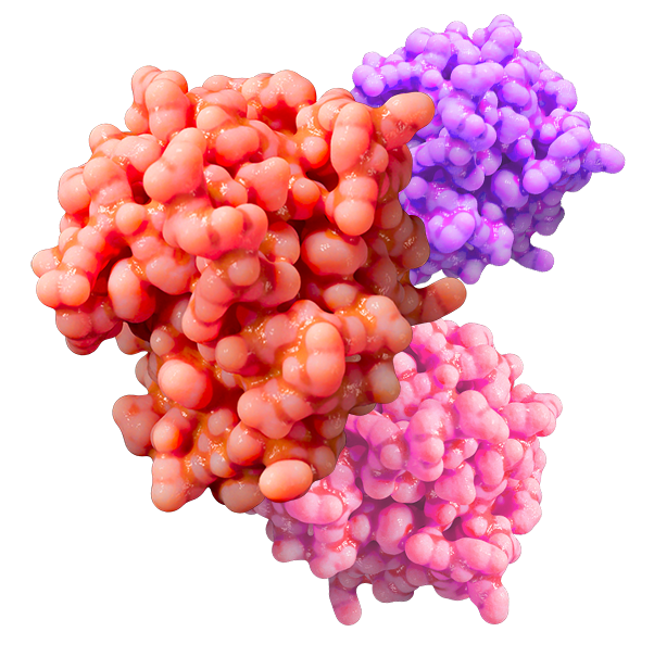 Science&Technology - Turn Therapeutics